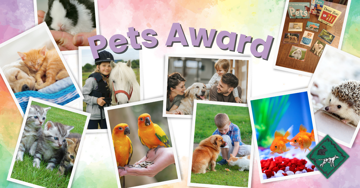Pets: Eager Beavers - Laura's Adventurer Resources